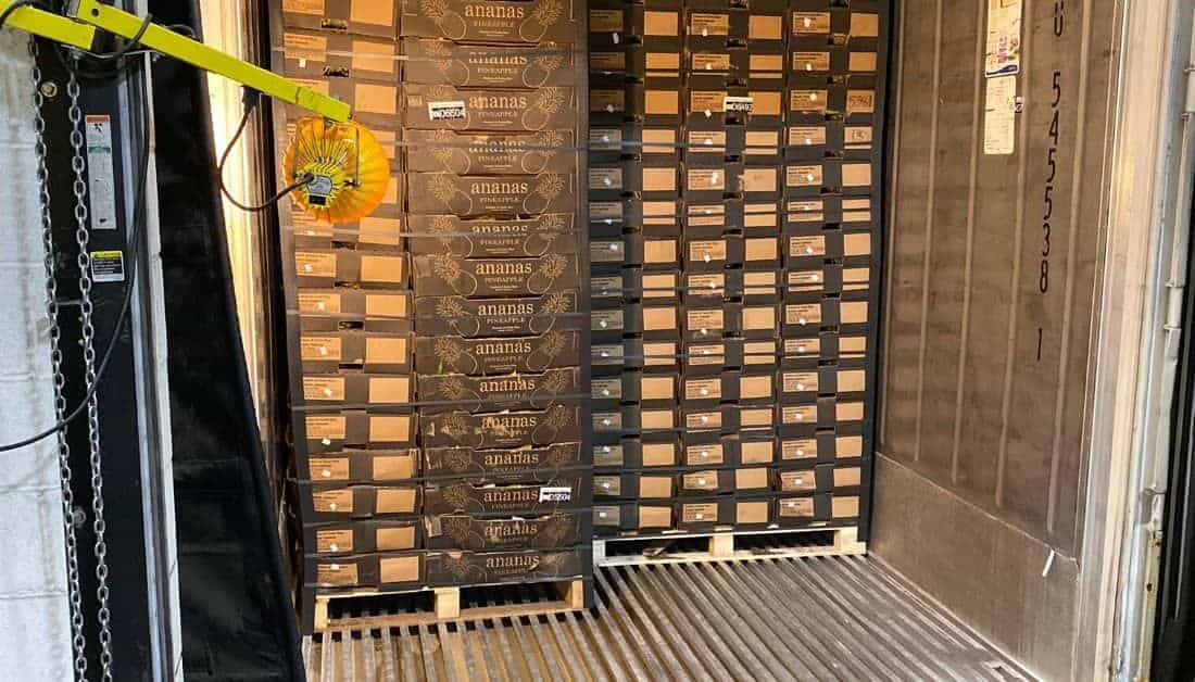 Tropical fruits invade Brooklyn food banks - Red Hook Star-Revue