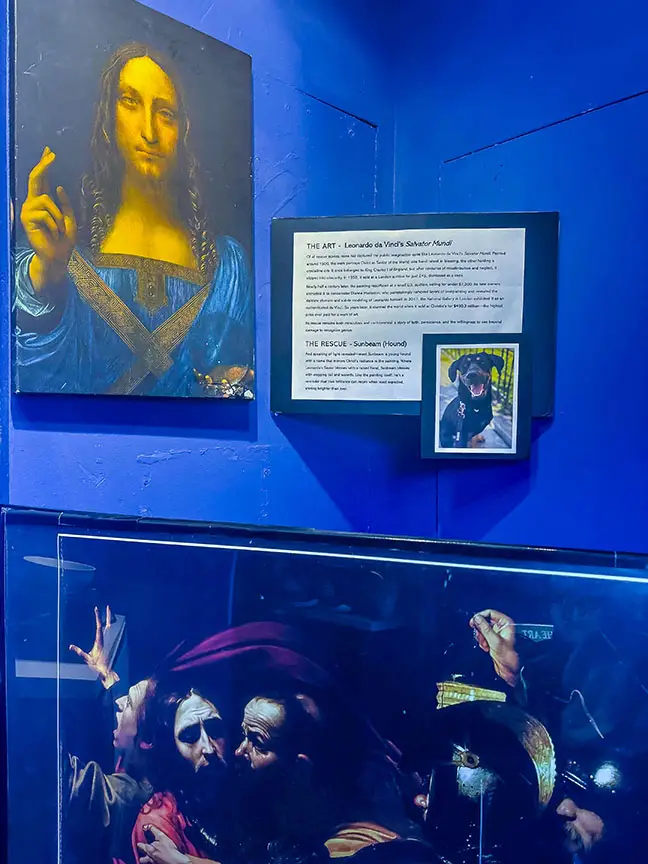 Reclaiming Art and rescuing animals: Salvator Mundi Museum unveils new ...